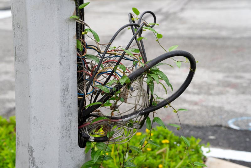 Cables Hanging from Lamp Post Risky and Dangerous Stock Photo - Image ...