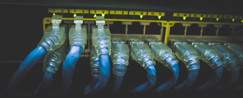 Cables Plug into the Switch Stock Photo - Image of golden, blue: 96598744