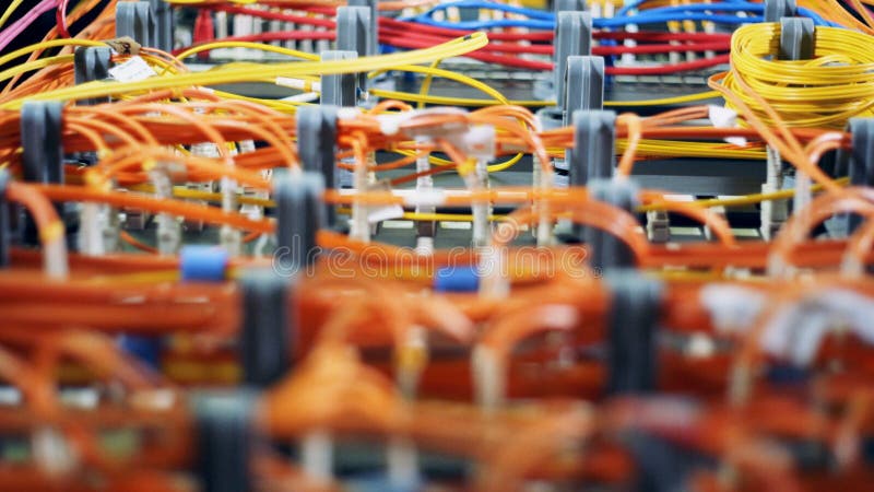 A System with Plugged Cables Placed at a Data Center. 4K. Stock Video ...