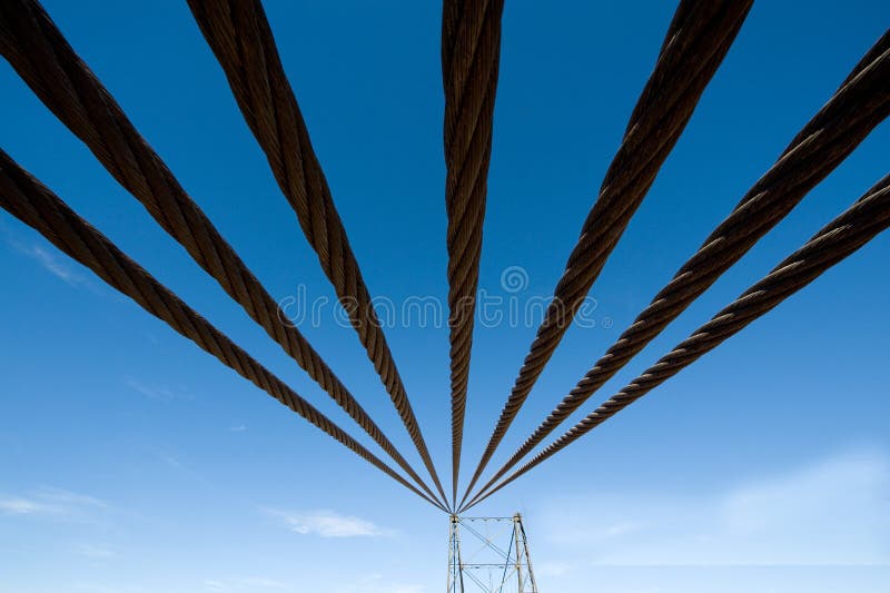 Cables of Steel stock image. Image of steel, bridge, cables - 8033987