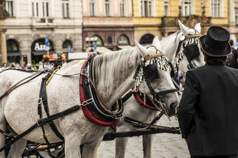 A cabman in Prague editorial image. Image of royalty - 76790410
