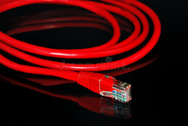 Cabo de Ethernet foto de stock. Imagem de dados, internet - 6264978