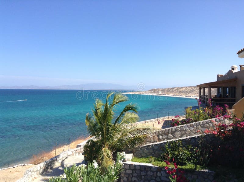 Cabo mexico stock photo. Image of mexico, coral, trees - 51653766