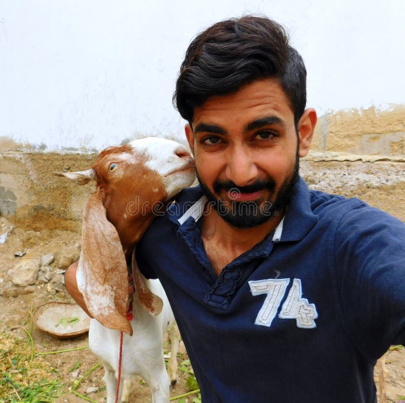 Cabra Que Cheira Boy& X27; Cara De S Foto de Stock - Imagem de lambida ...