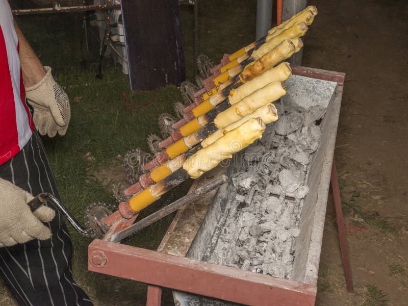 Cabure foto de archivo. Imagen de tradicional, paraguay - 46975192