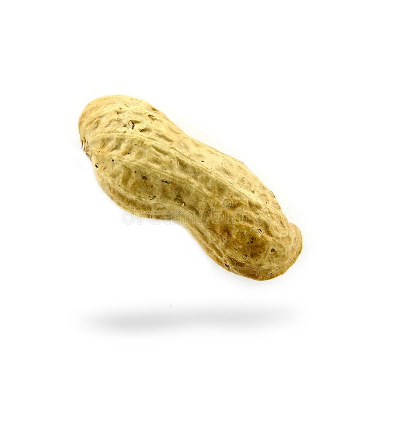 Cacahuete imagen de archivo. Imagen de macro, amarillo - 28376669