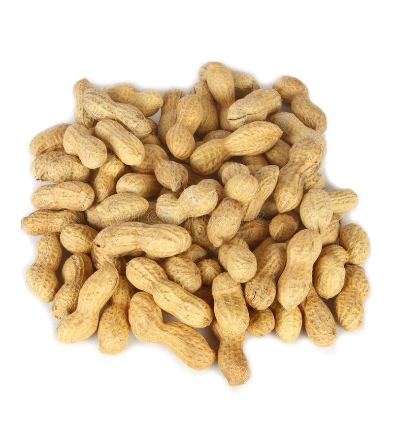 Cacahuete foto de archivo. Imagen de crudo, gordo, nutshell - 31466846