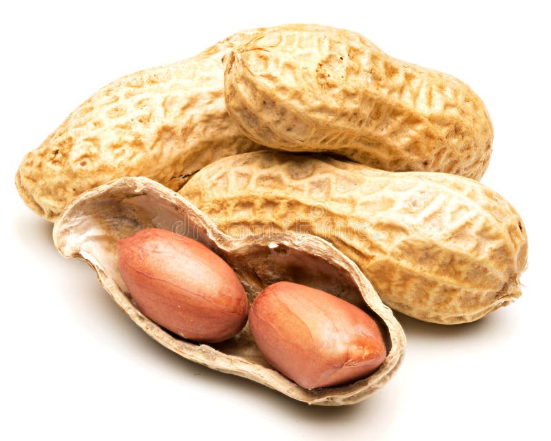 Planta del cacahuete foto de archivo. Imagen de follaje - 19349668