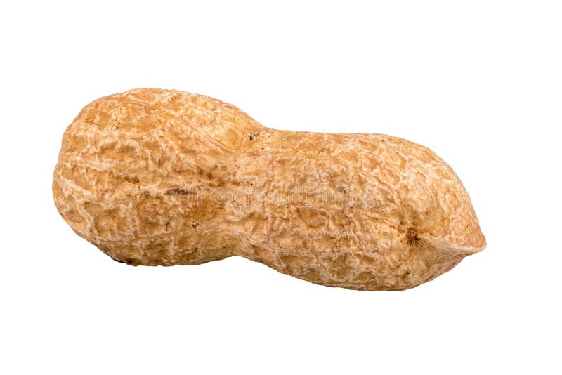 Cacahuete De Los Cacahuetes En El Fondo Blanco Imagen de archivo ...