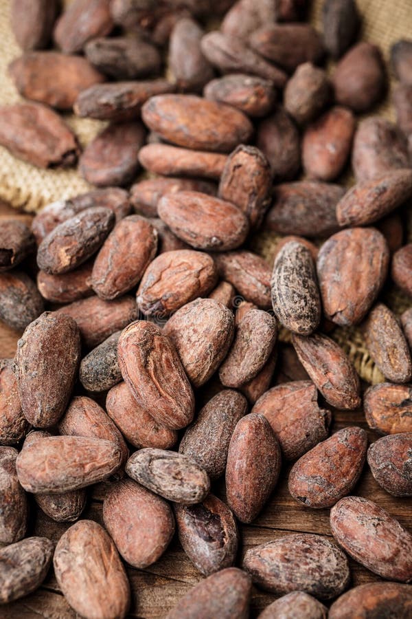 Cacao Bag stock image. Image of market, sell, cacao, fiber - 17319555