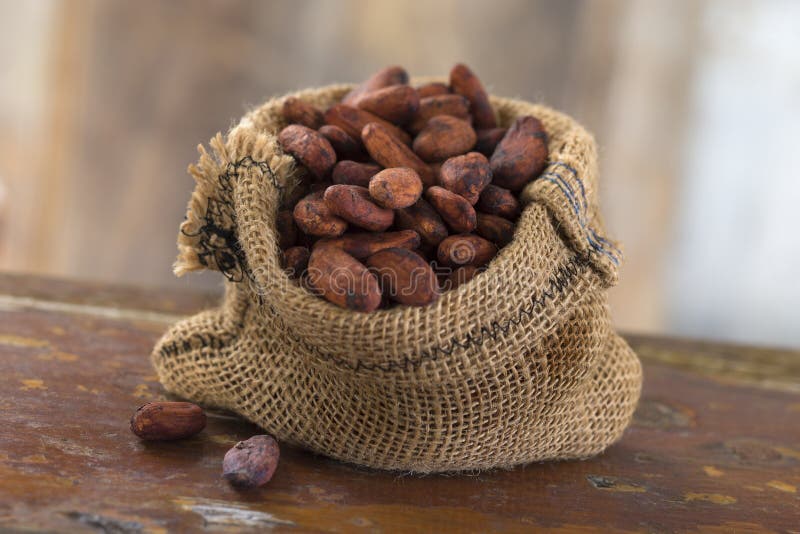 Cacao Beans Inside of a Hessian Bag Stock Image - Image of aroma, bean ...
