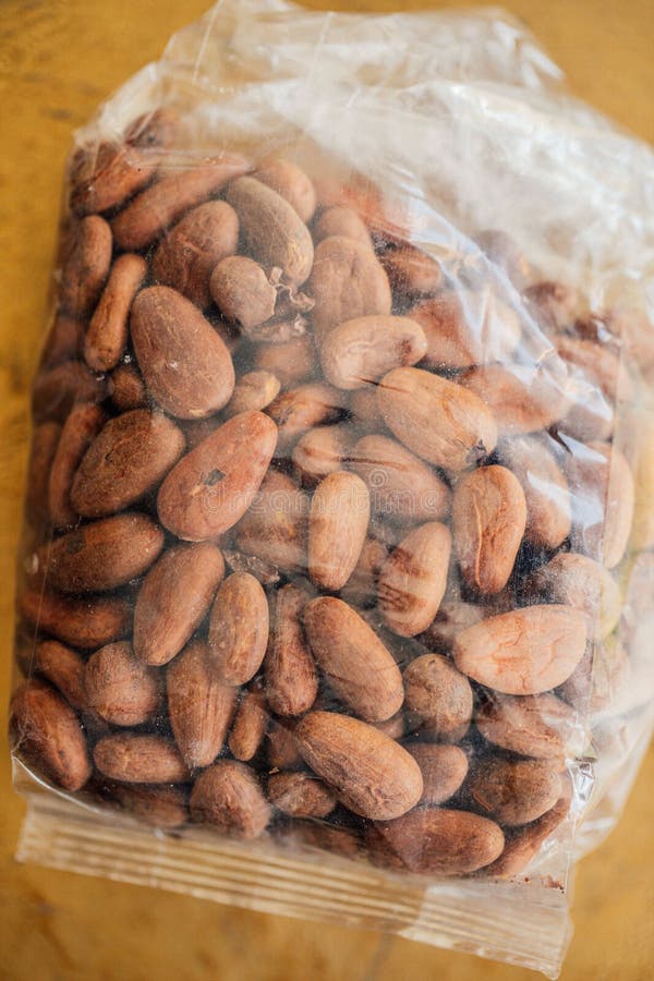 Cacao Beans in Plastic Bag on Gold Stock Photo - Image of mexican ...