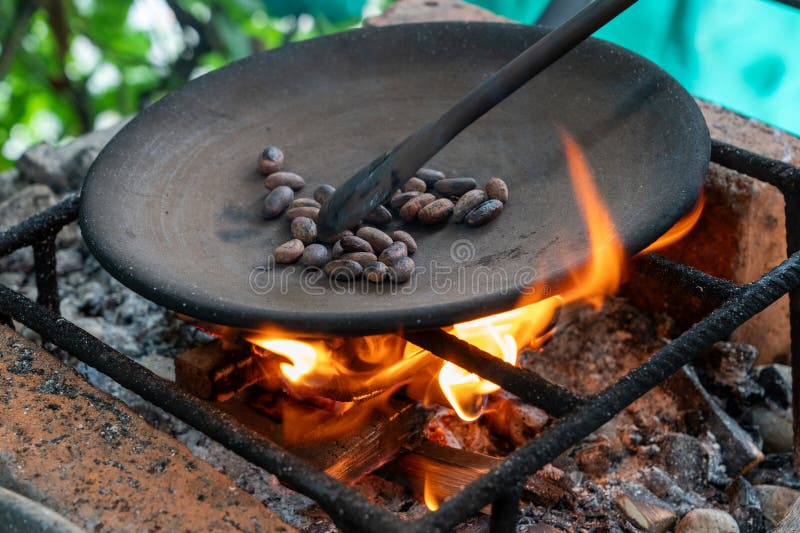 Cacao Beans Roasting Over a Fire on a Primitive Grill. they are Being ...