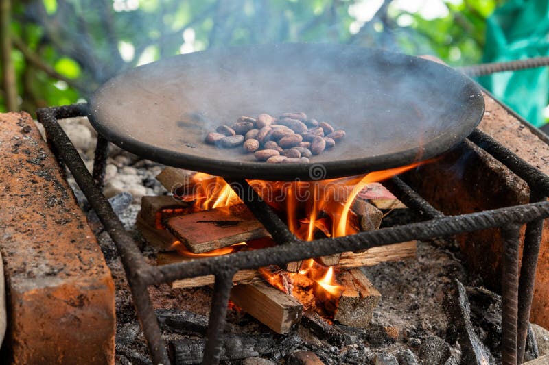 Cacao Beans Roasting Over a Smokey Fire on a Primitive Grill, Side View ...