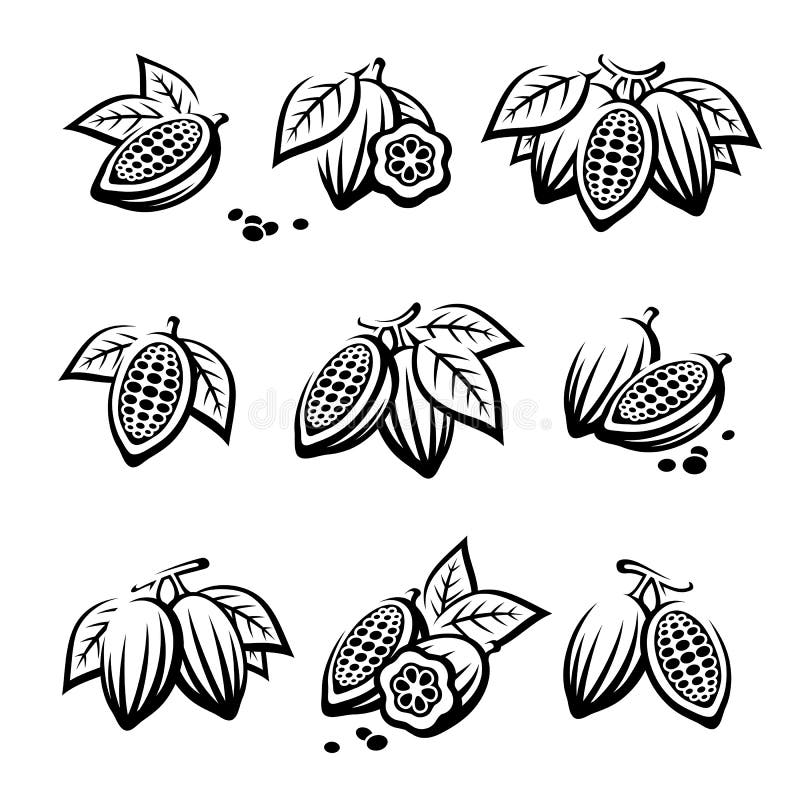 Cacao, Hand Draw Sketch Vector Stock Vector - Illustration of gourmet ...