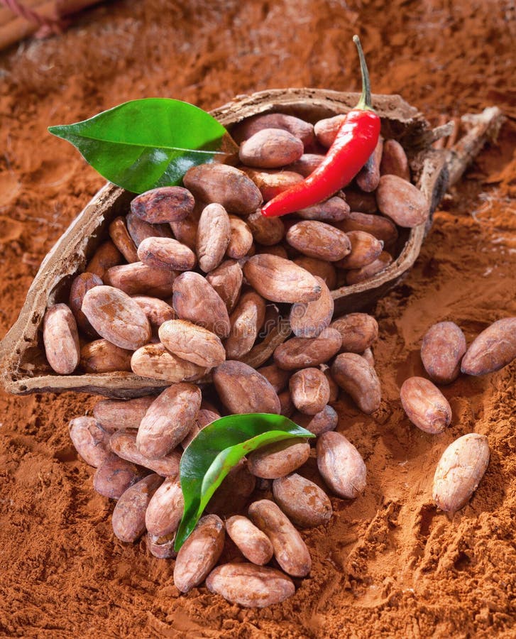 Cacao Powder, Leaf and Cacao Beans Stock Image - Image of bowl, dark ...