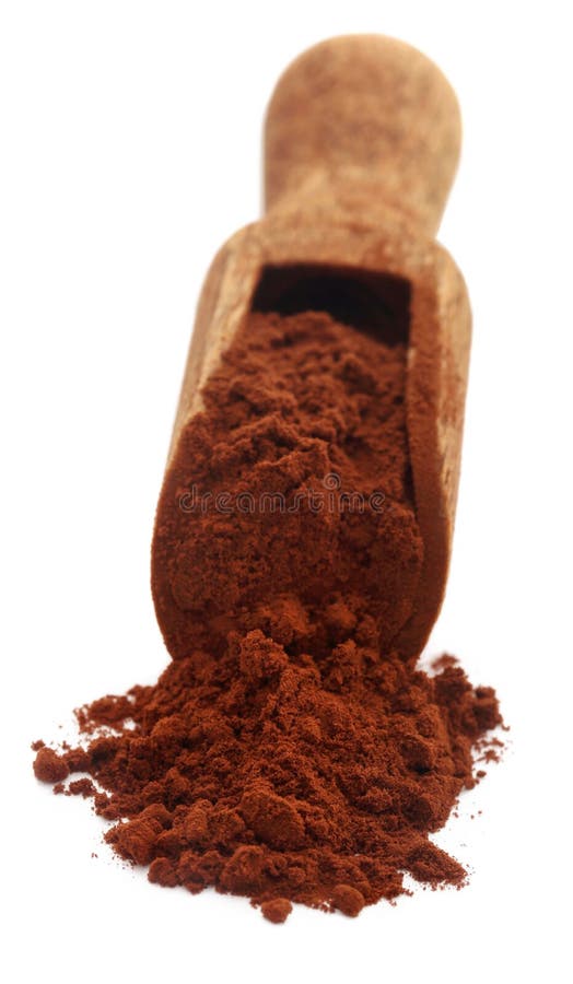 Cacao Powder stock photo. Image of natural, bowl, crushed - 125285278