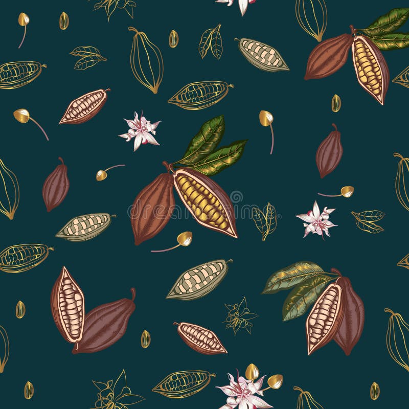 Cacao Vector Pattern with Chocolate in Vintage Style on Dark Background ...