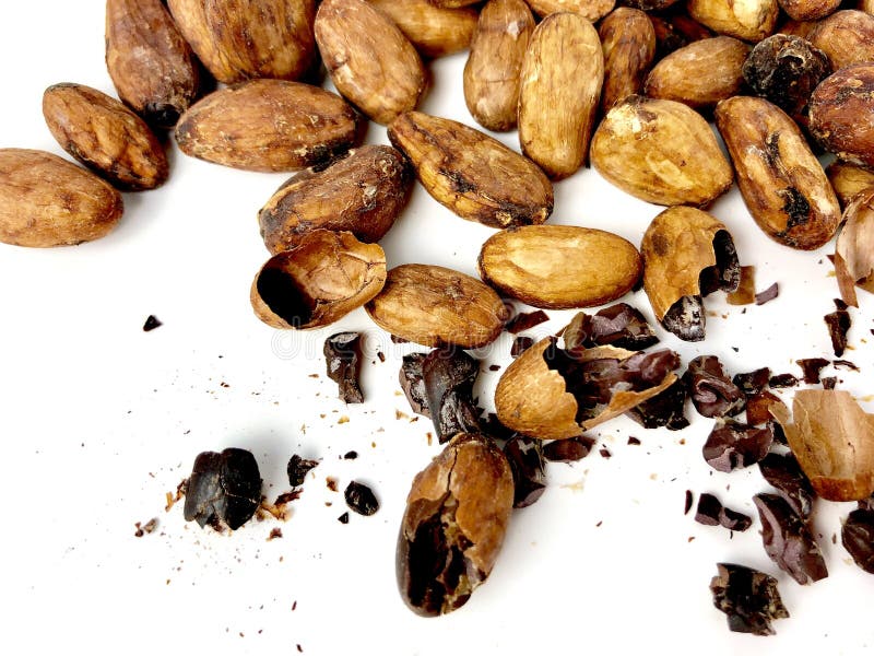Cacaobonen en bonen stock afbeelding. Image of bakkerij - 142131237