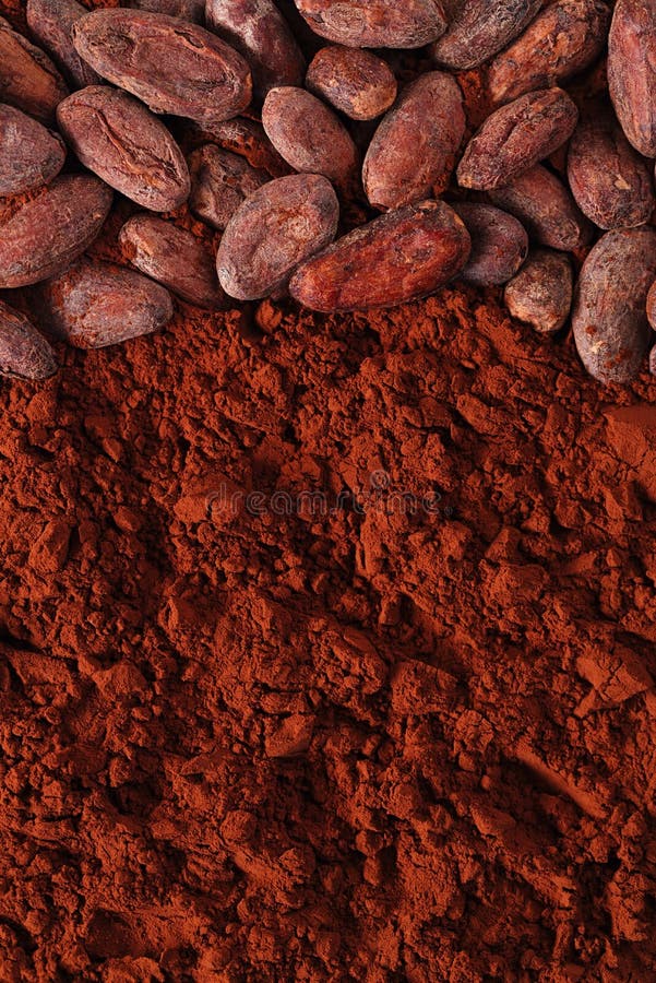 Cacaobonen En Poederachtergrond Stock Afbeelding - Image of cacao ...