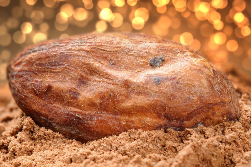 Cacaoboon stock afbeelding. Image of chocolade, tropisch - 27839723