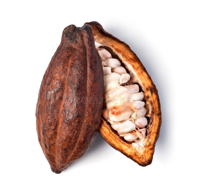 Cacau de fundo branco imagem de stock. Imagem de nave - 150461511