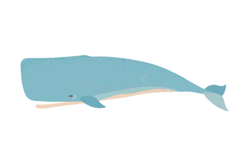 Cachalot whale icon stock vector. Illustration of marine - 258206905