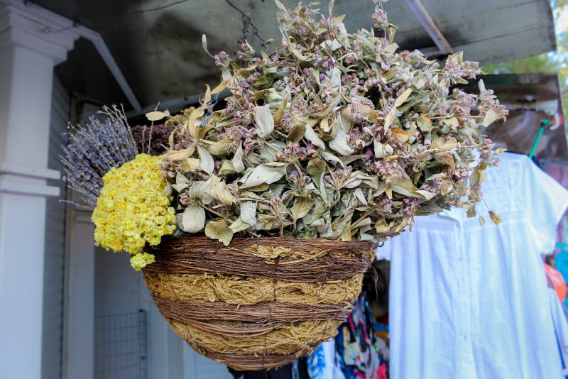 Cache-pot with dry plants stock photo. Image of traders - 159875808