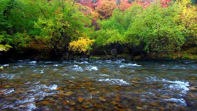 Cache River Utah Fall Scenery Stock Footage - Video of fall, nature ...