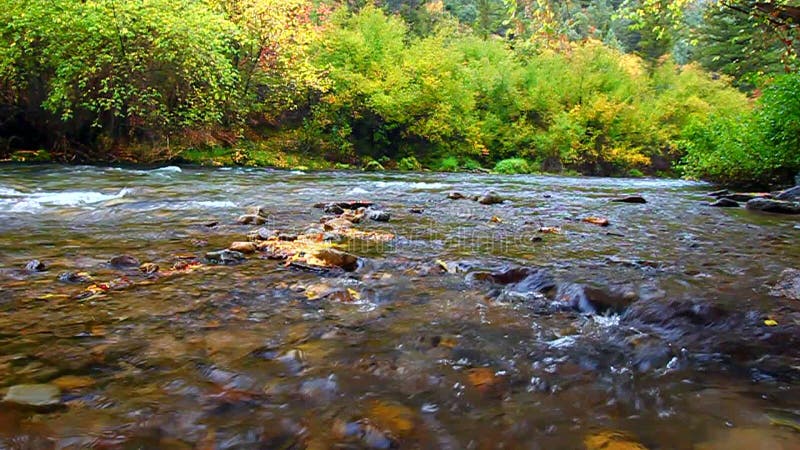 Cache River Utah Fall Scenery Stock Video - Video of pretty, scenery ...