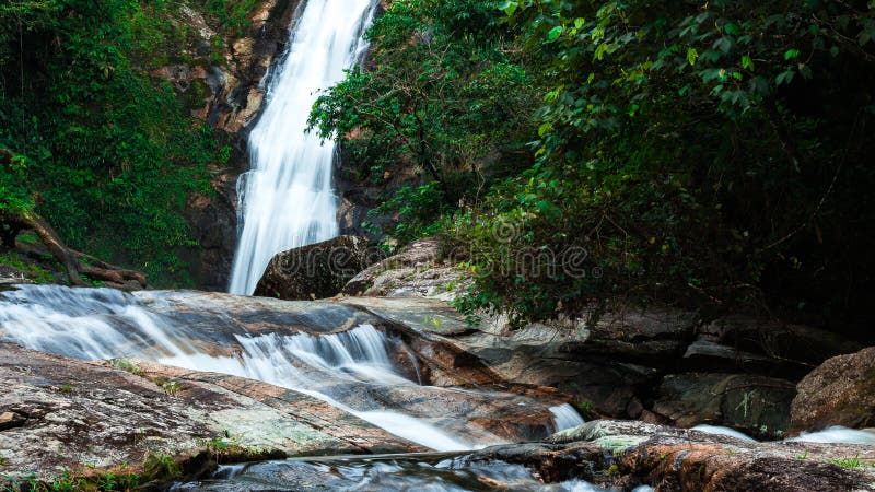 Lisa Brazil Stock Photos - Free & Royalty-Free Stock Photos from Dreamstime