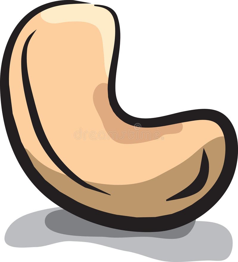 Cachou vector illustratie. Illustration of één, cachou - 3744827