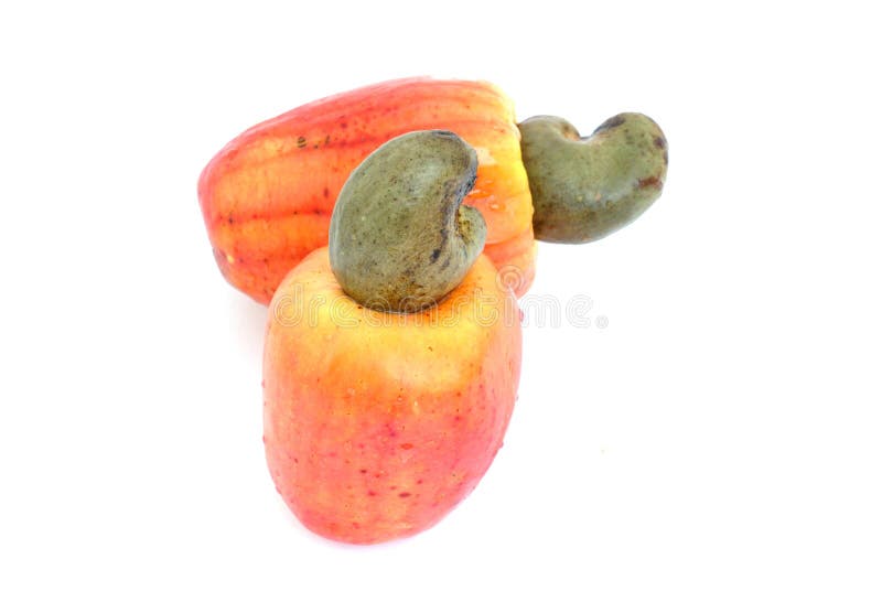 Het Fruit van de cachou stock foto. Image of cachou, rood - 12407826
