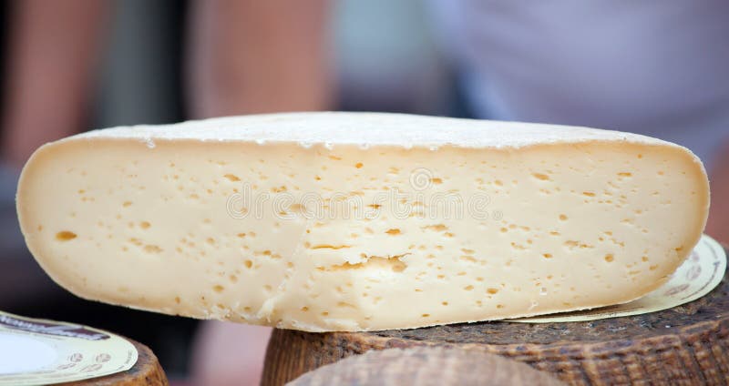 Caciotta Fresca, Formaggio Italiano Immagine Stock - Immagine di ...