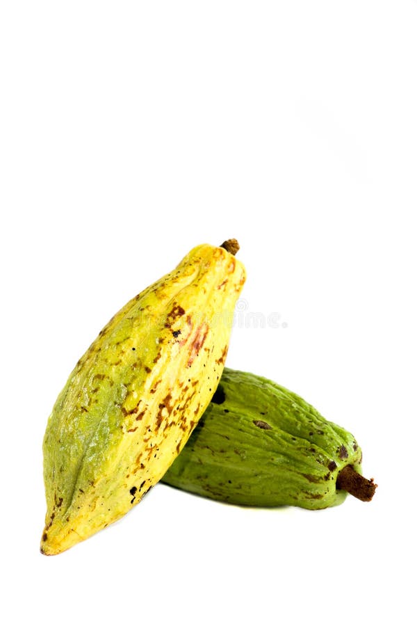 Cacoa White Background in Studio Stock Image - Image of aroma, powder ...