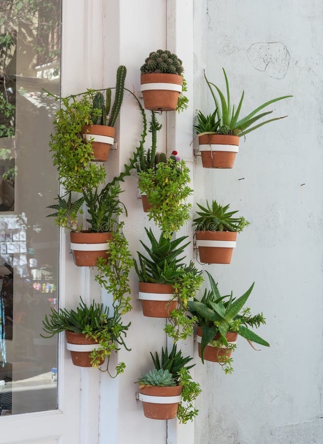 Cacti and Other Plants in the Wall Planters on Outside Wall. Stock ...