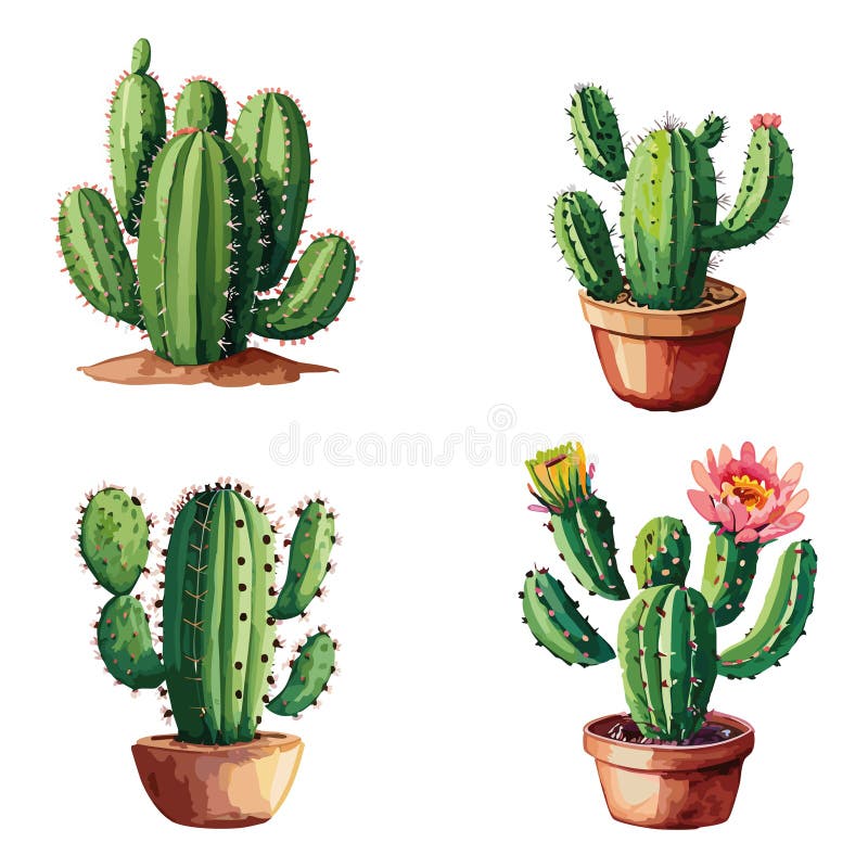 Cacti Vector Illustration. Cactus Stock Vector - Illustration of cute ...