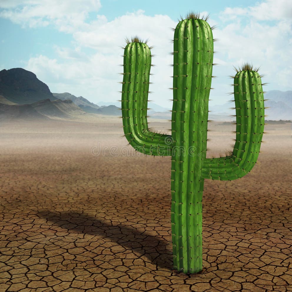 Cactus Panoramic Landscape Stock Illustrations – 2,351 Cactus Panoramic ...