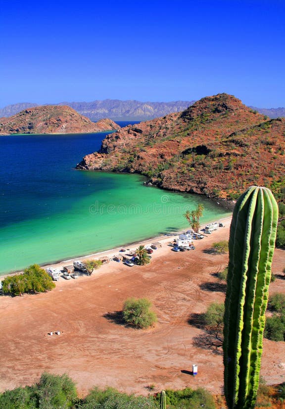 Cactus, beach and sea stock photo. Image of cactus, campers - 2475912