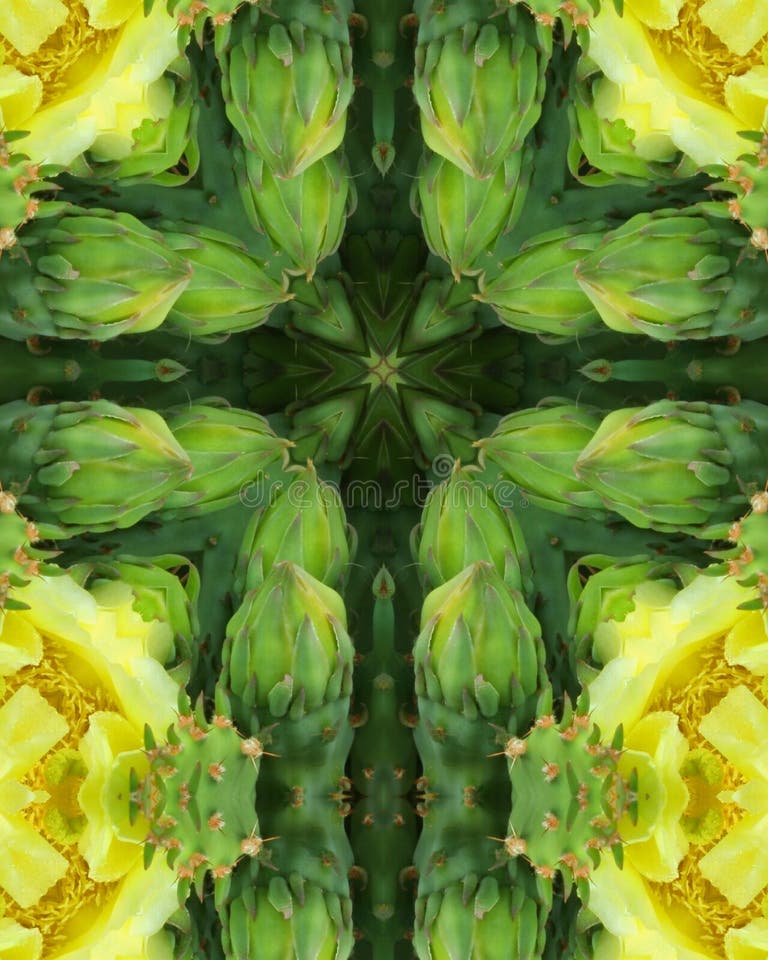 Sharp Cross Stock Illustrations – 10,812 Sharp Cross Stock ...