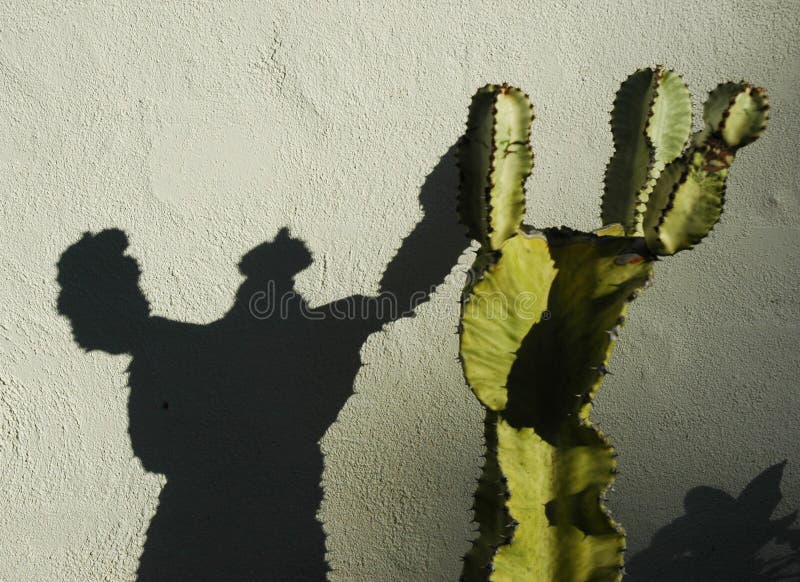 A Cactus Casting a Shadow on a Concrete Wall. Stock Photo - Image of ...