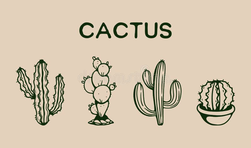 Cactus Collection Hand Drawing Stock Vector - Illustration of plant ...
