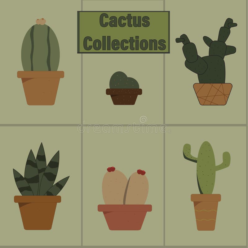 Cactus Collections Shape Drawing Stock Vector - Illustration of ...