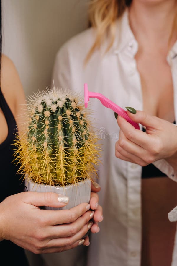 Cactus Concept Unshaven Body Stock Image Image Of Shave Epilation