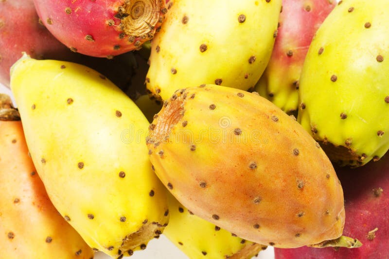 Cactus Del Higo Chumbo Con Las Frutas Abundantes E Foto de archivo ...