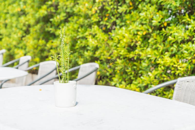 Cactus decoration on table stock photo. Image of interior - 103594030