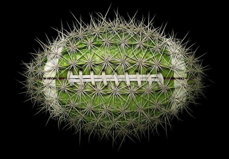 Cactus Football stock image. Image of kick, recreation - 28413323