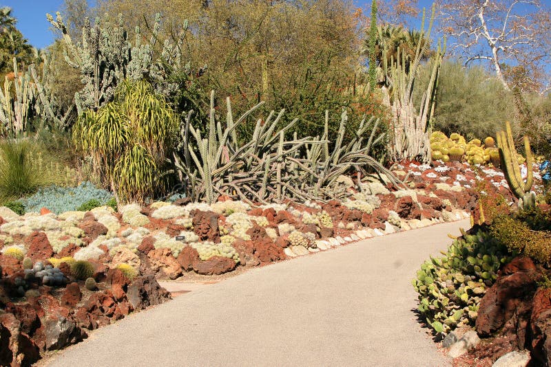 Cactus Garden 1 stock image. Image of path, protection - 4318813