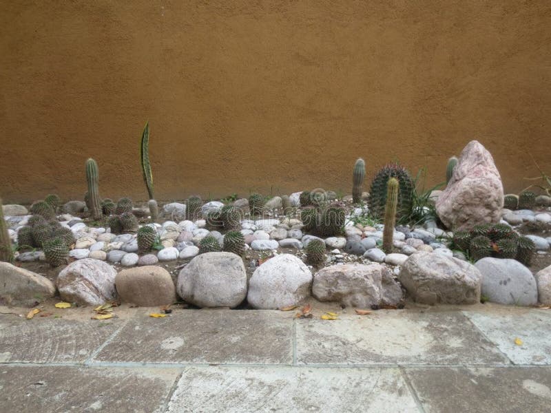 Nopal Desert Rocas Rock Stone Stock Photos - Free & Royalty-Free Stock ...