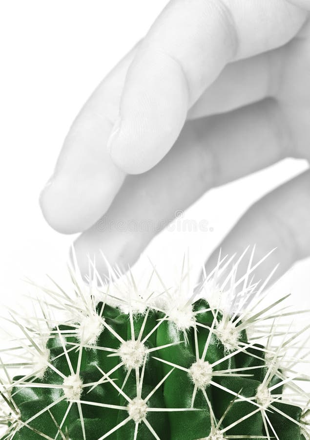 Cactus and hand stock image. Image of fingers, exotic - 21079597